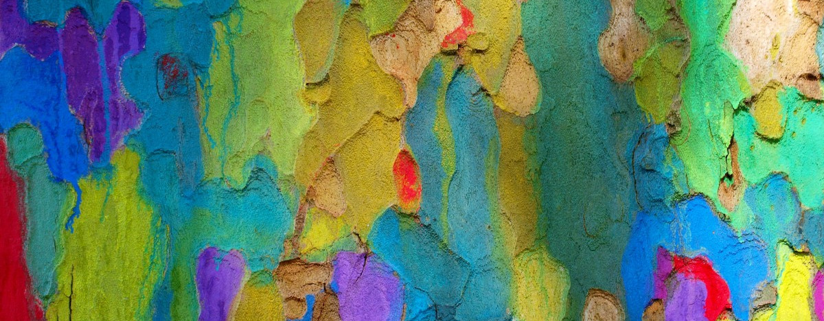 paint - Undiecar Championship